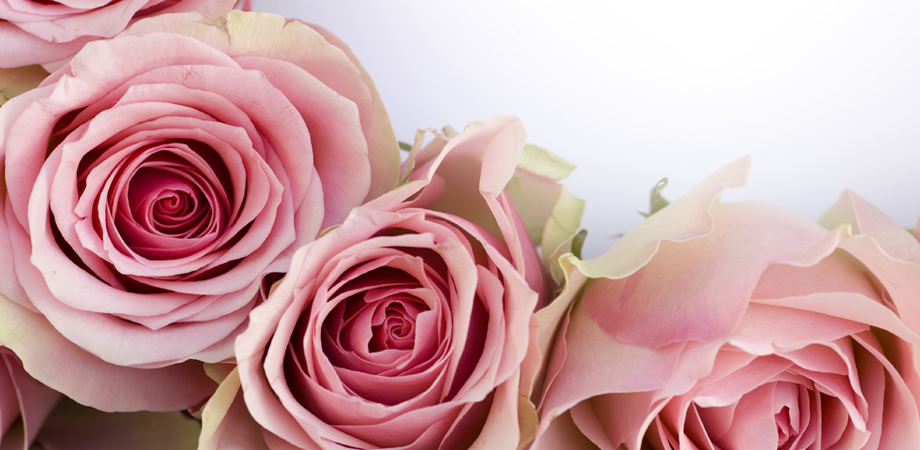 Same Day Flower Delivery Leicester | Flowerbox Florist