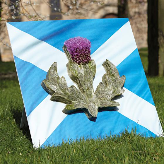 Scottish Thistle Tribute